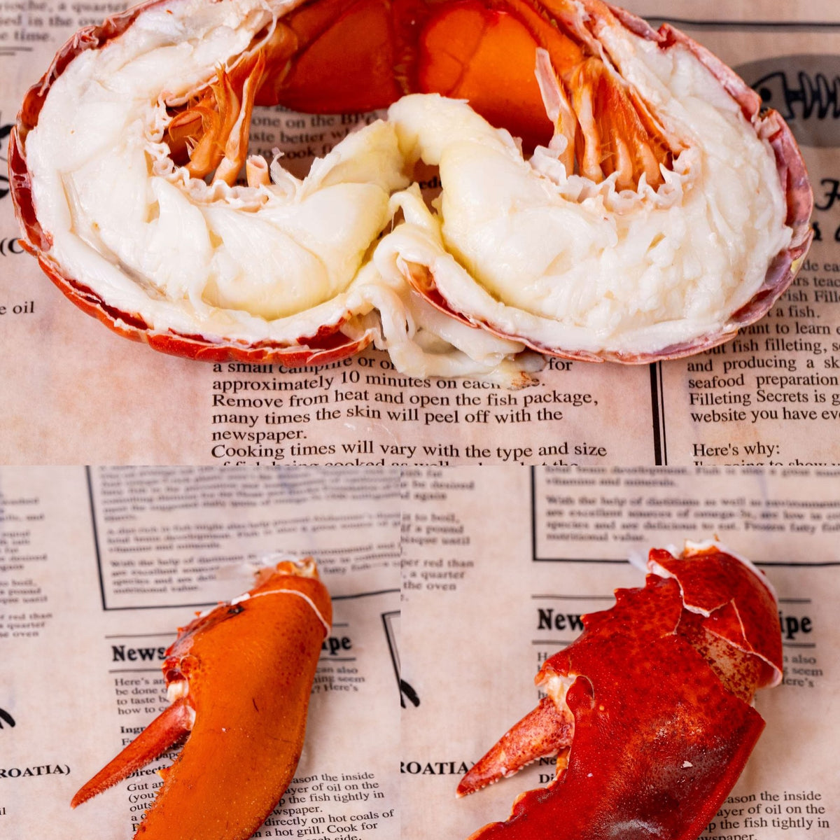 split colored lobster arnold claws