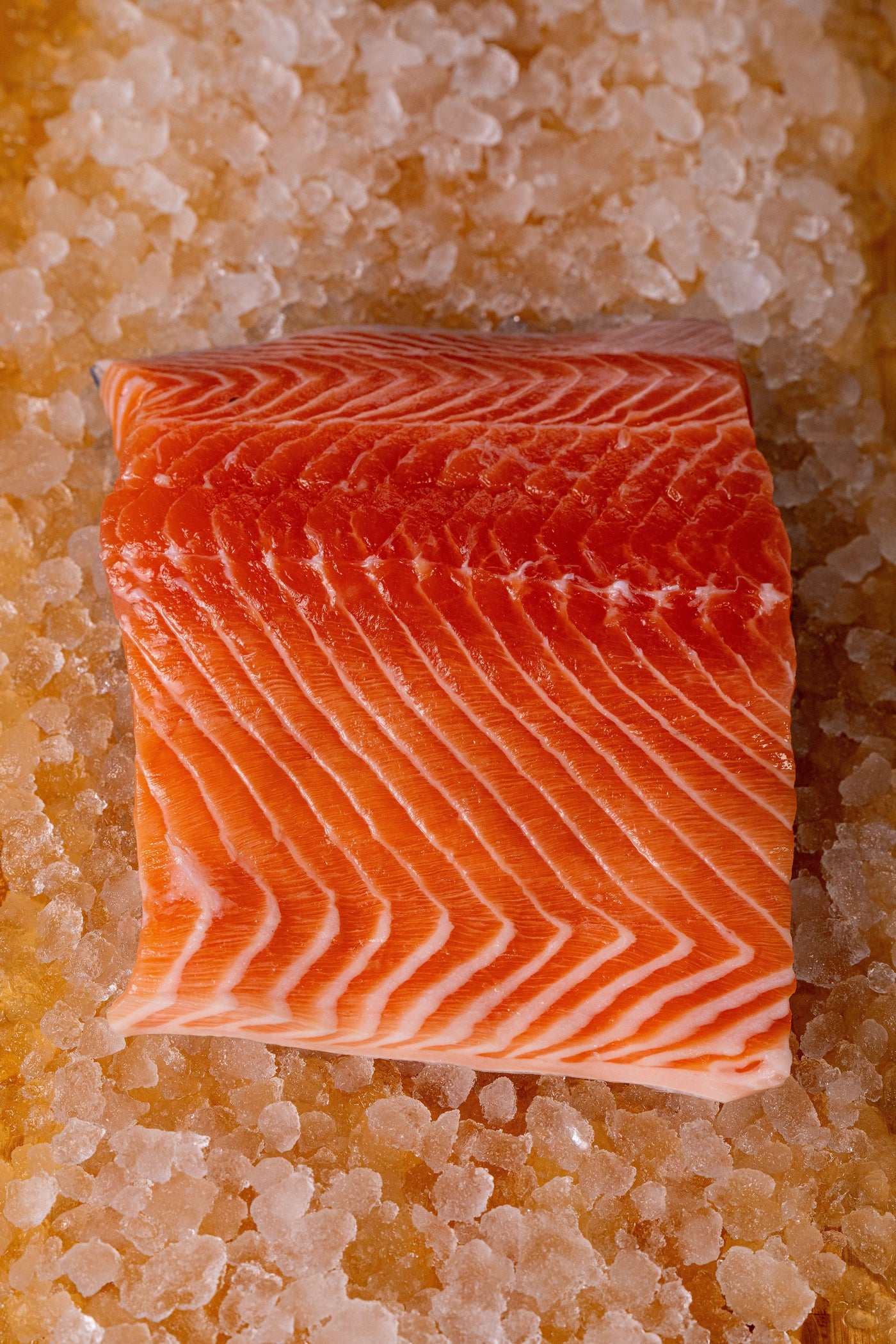 Anchor Fresh Fish Market