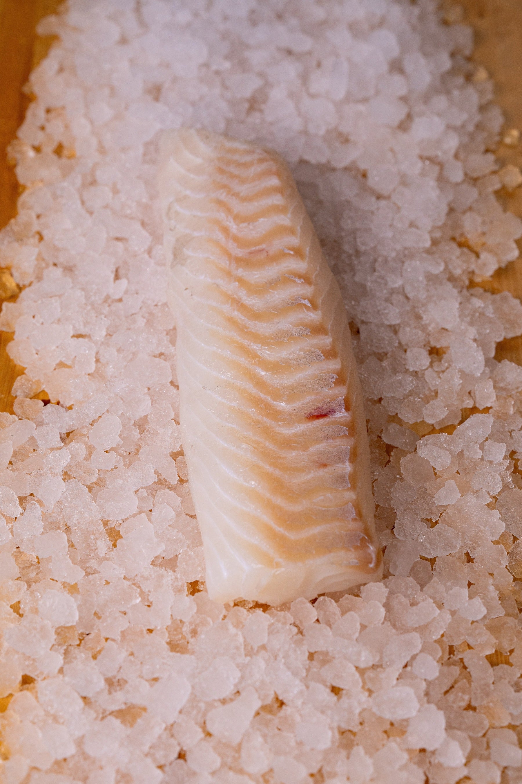 Anchor Fresh Fish Market